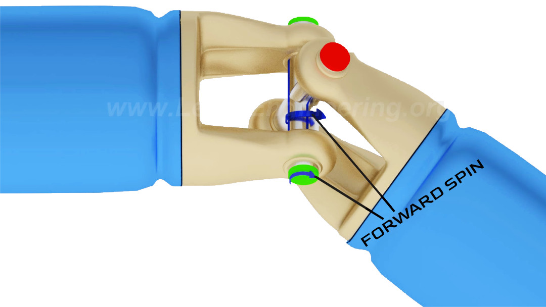 Universal Joint Animation